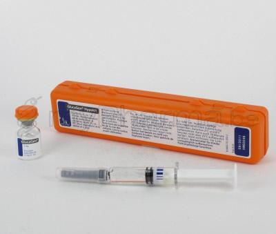BVBA apotheek Patrick Meysen 3990 Peer : Welkom > GLUCAGEN HYPOKIT 1 MG ...