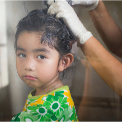 Apotheek Meysen Peer 3990 Peer : Home > Oplossingen A-Z - Luizen